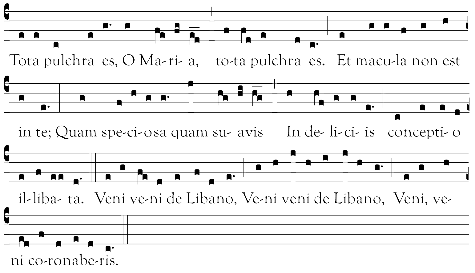 Novena in preparation to the feast of the Immaculate Conception - Ss ...
